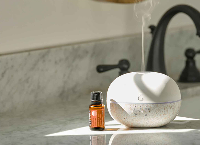 Endless Summer with Pebble Diffuser | doTERRA Essential Oils